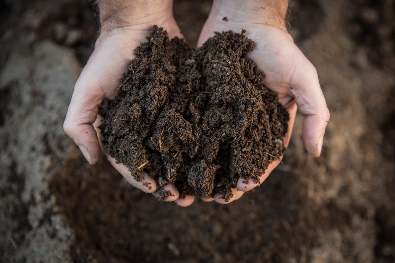 Organic & Agricultural Waste Recycling | Keenan Recycling
