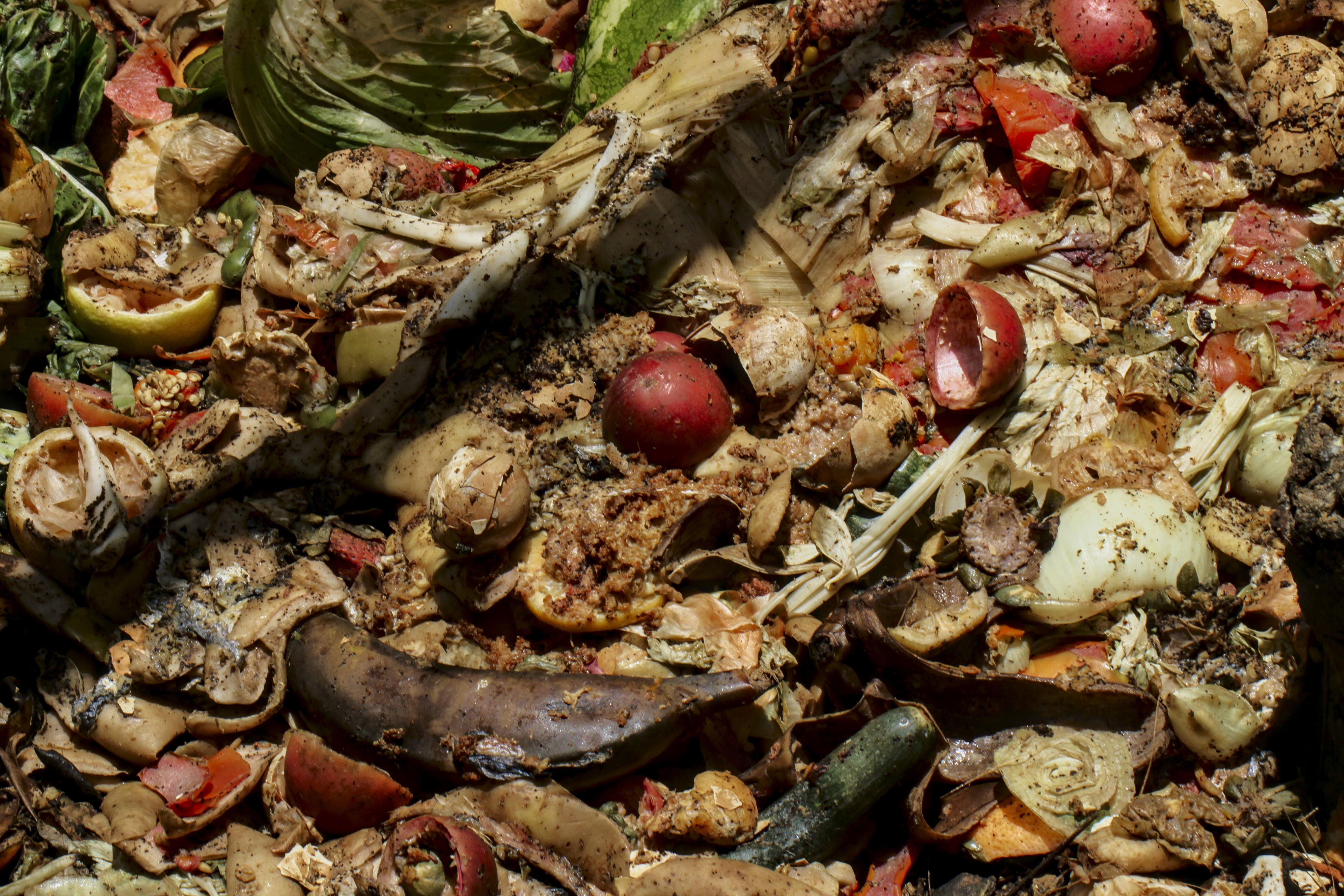 Food waste issues and finding solutions for a better future - Keenan ...
